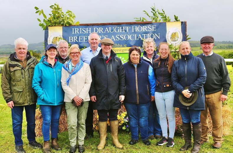 PICTURE DESK: Out and about 05 September 2025 Premium