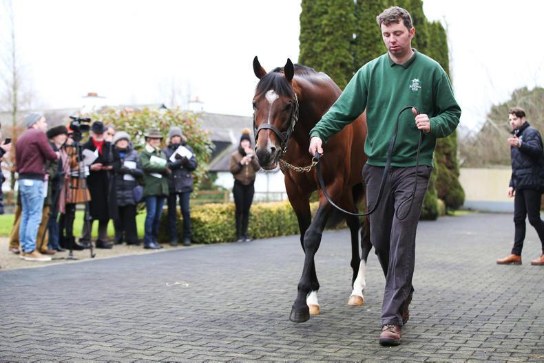 ITM IRISH STALLION TRAIL: Meet the stallion handlers 04 January 2019 Free
