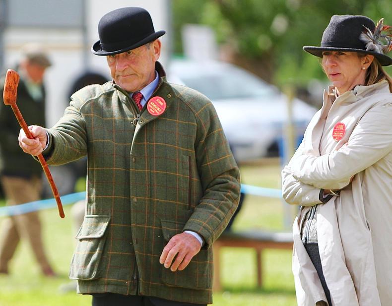 PICTURE DESK: Out and About 11 October 2019 Premium