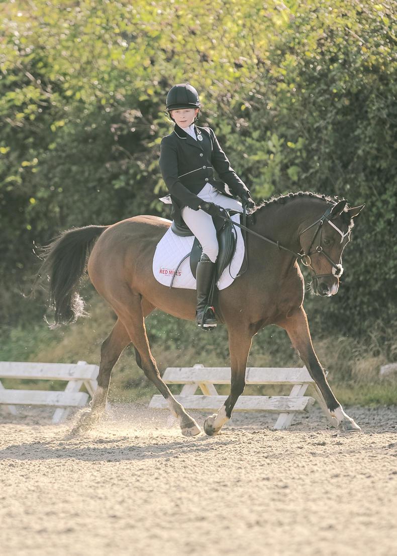 PICTURE DESK: Out and About 18 October 2019 Free
