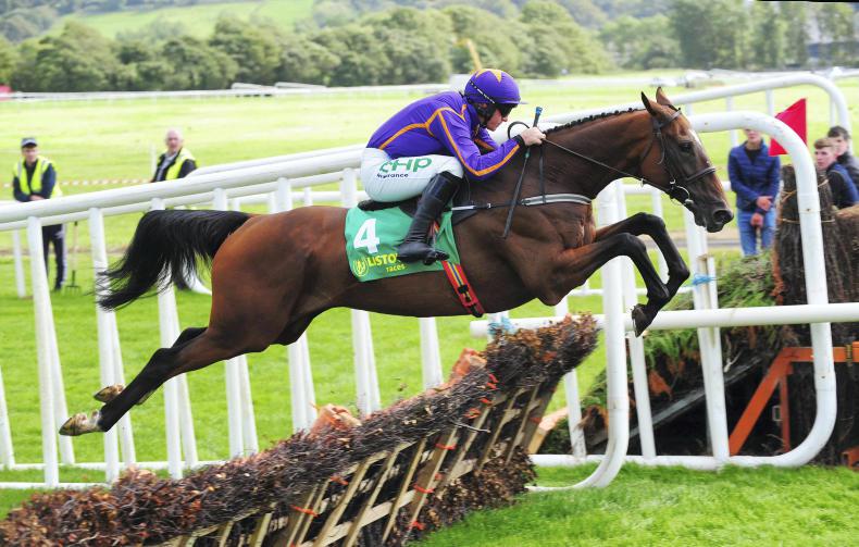 Tragic end for Wicklow Brave in America 20 October 2019 Free
