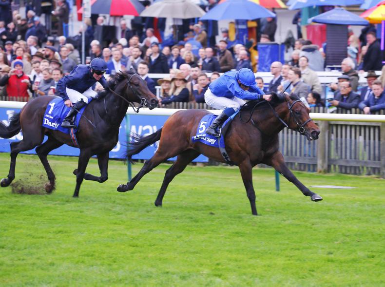 Shamardal put down at Kildangan Stud 16 April 2020 Free