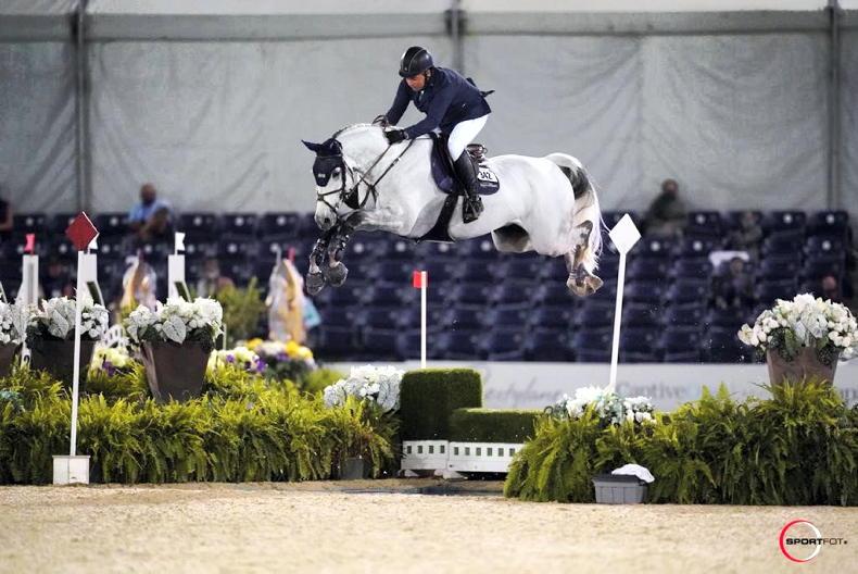 SHOW JUMPING: Irish riders netted over $1 million during WEF 2021 16 ...
