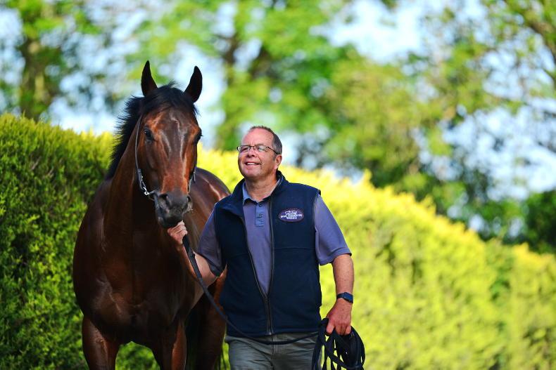 VIDEO: Ger Lyons trains 1,000th career winner 30 August 2021 Free