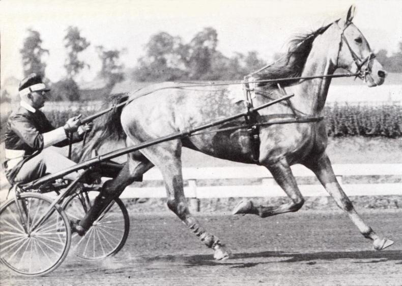 HARNESS RACING: Greyhound - The Grey Ghost lives on 14 January 2022 Free
