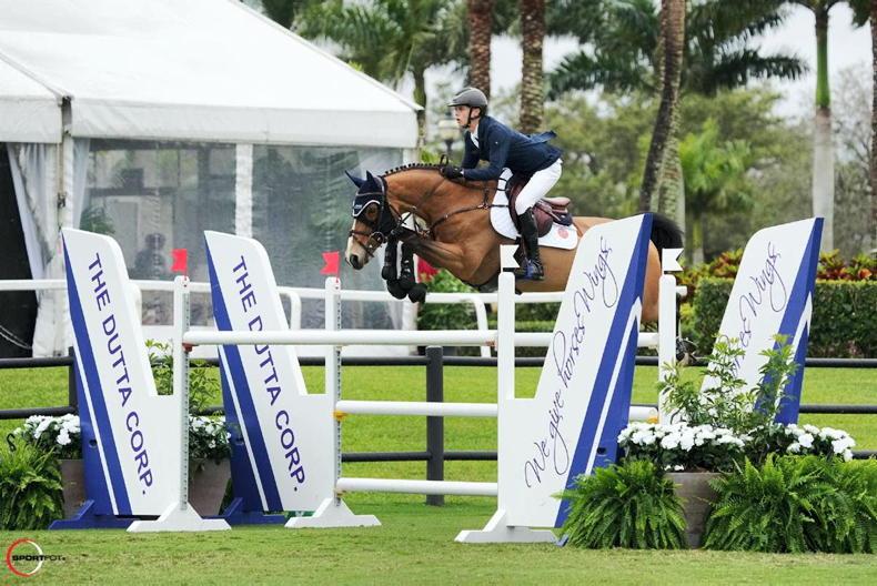 SHOW JUMPING: Five Grand Prix wins for Irish riders worldwide 23 ...