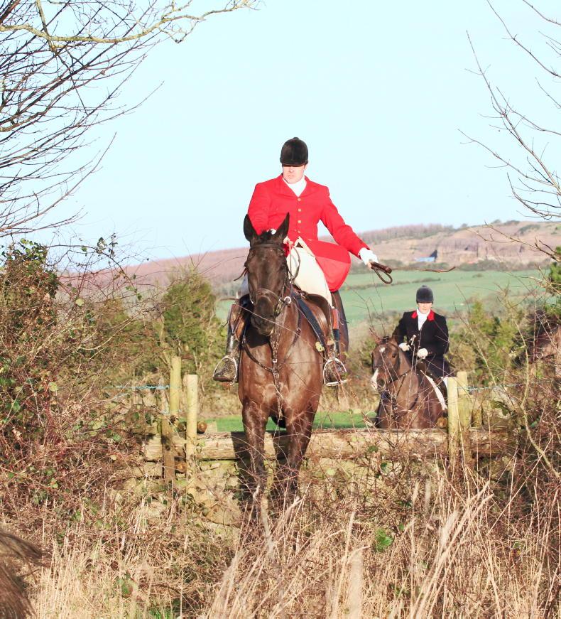 PICTURE DESK: Out and About 14 January 2022 Free