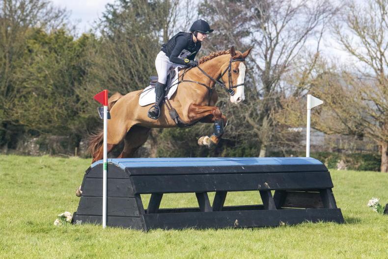 PICTURE DESK: Out and About 15 April 2022 Free