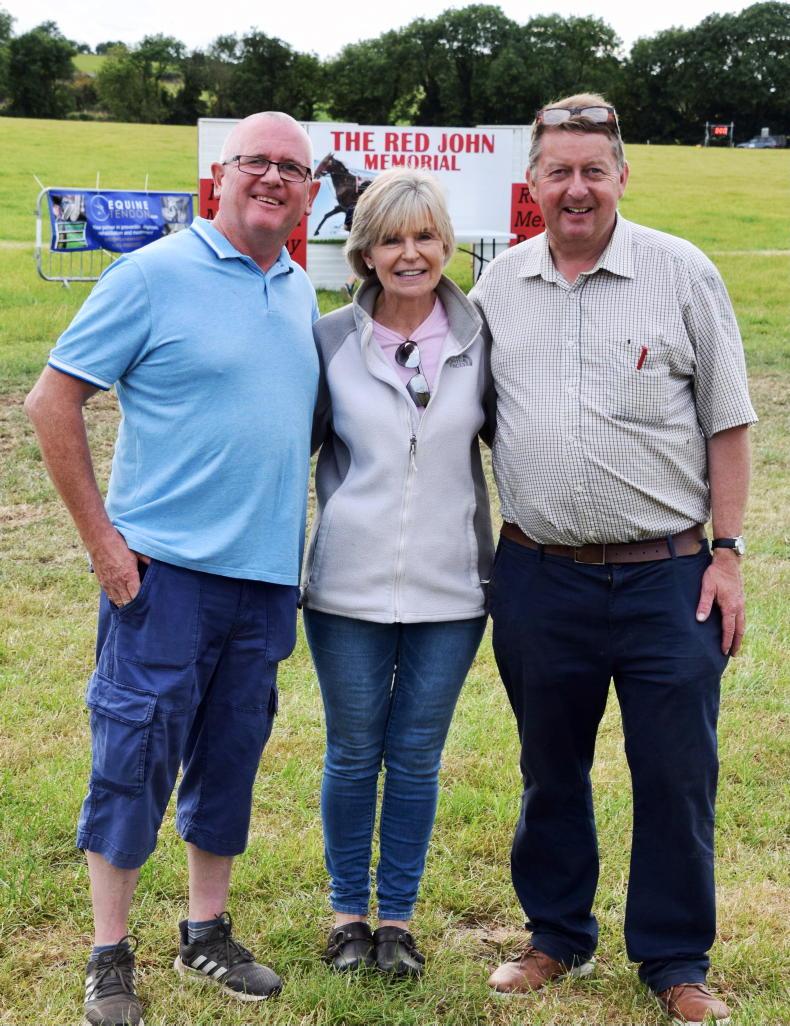 HARNESS RACING: Son Of A Gun is the hot shot 26 August 2022 Free