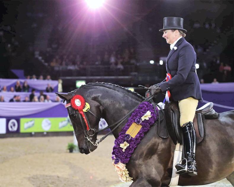 HOYS: View Point retired after second HOYS supreme title 14 October ...