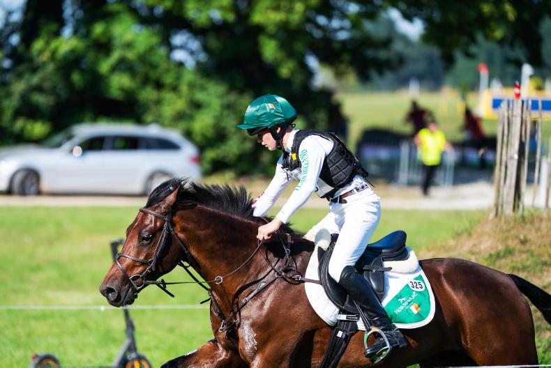 BREEDING ANALYSIS: Golden ponies 14 October 2022 Free