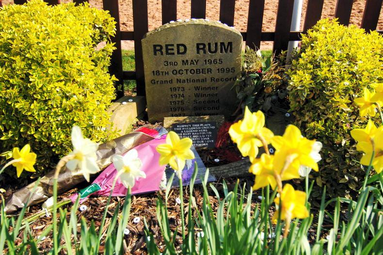 GRAND NATIONAL: Red Rum remains a household name 14 April 2023 Free