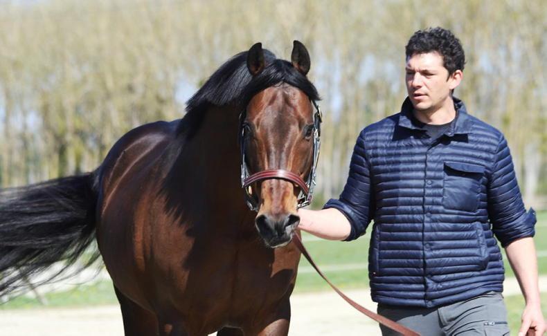 BREEDING INSIGHTS: Blue Rose Cen blooms for Churchill 19 May 2023 Free