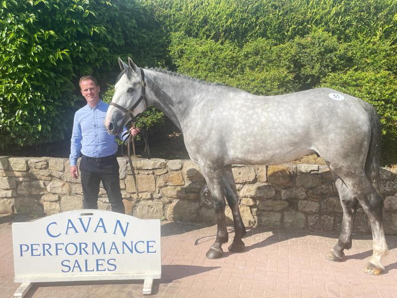 CAVAN SALES: Stronge signs for top lot at €14,500 23 June 2023 Free