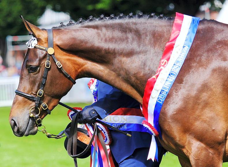 DUBLIN HORSE SHOW 2023: Penelope's presence secures slice of heaven 18 ...