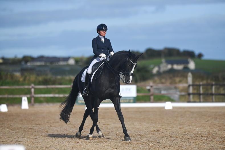 DRESSAGE: Naughton nails it at Sleighduff 20 October 2023 Free