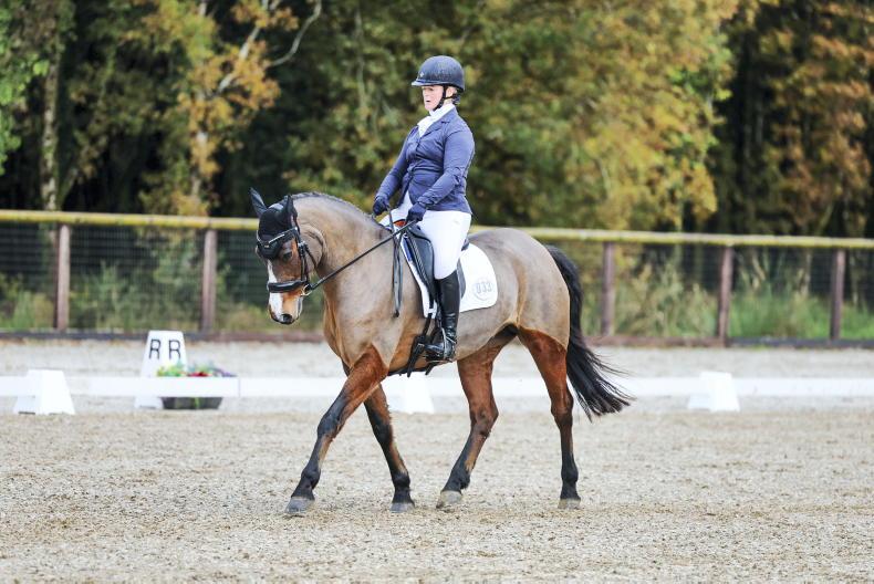 DRESSAGE: Final HSI Autumn Dressage Development League qualifier held ...