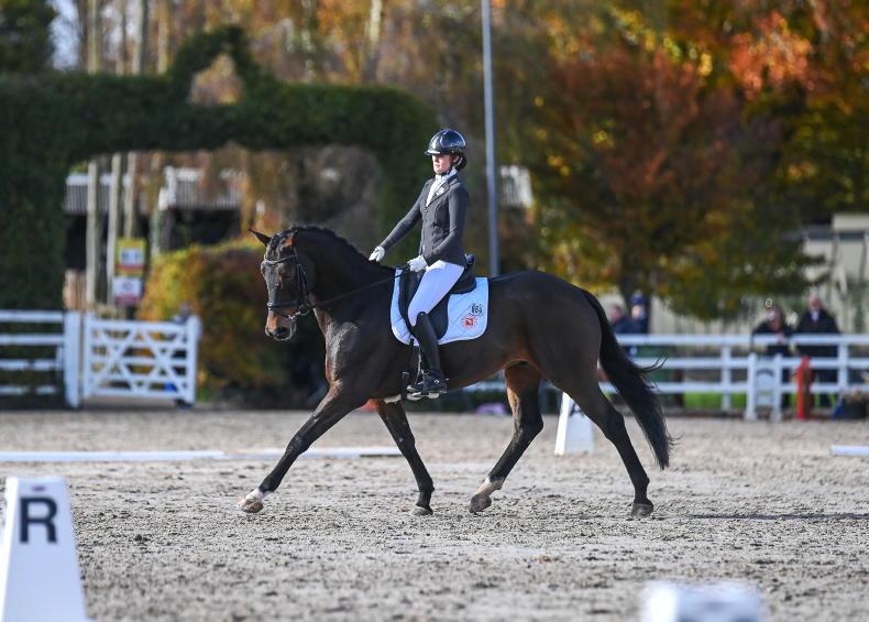 THE PRODUCER: Achieving success across the board 08 December 2023 Free