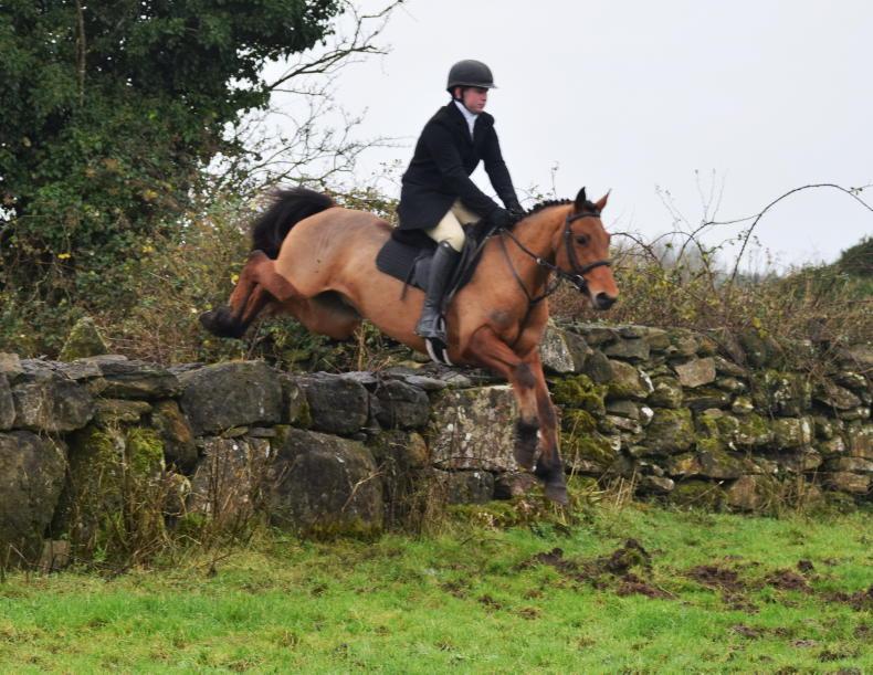 PICTURE DESK: Out and about around the country 29 December 2023 Free