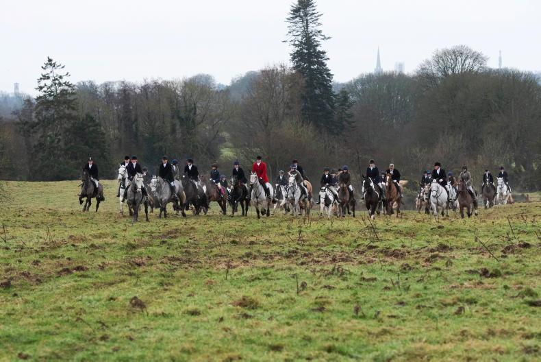 PICTURE DESK: Out and about around the country 29 December 2023 Free