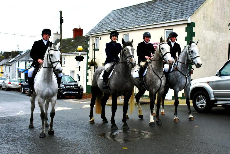 HUNTING: The Wicklow Foxhounds meet at Coolgreany 12 January 2024 Free