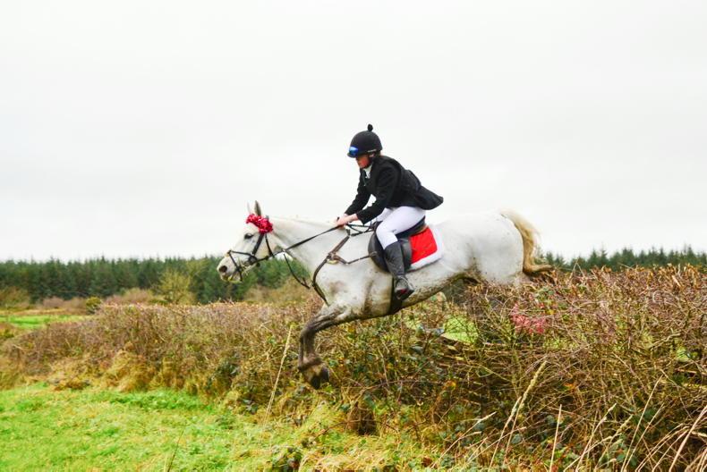 PICTURE DESK: Out and about 12 January 2024 Free