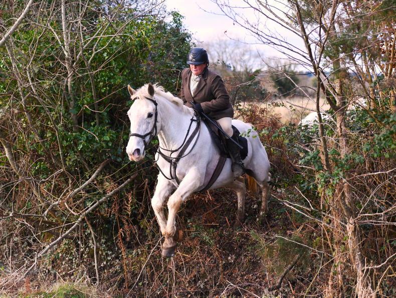 PICTURE DESK: Out and about 19 January 2024 Free