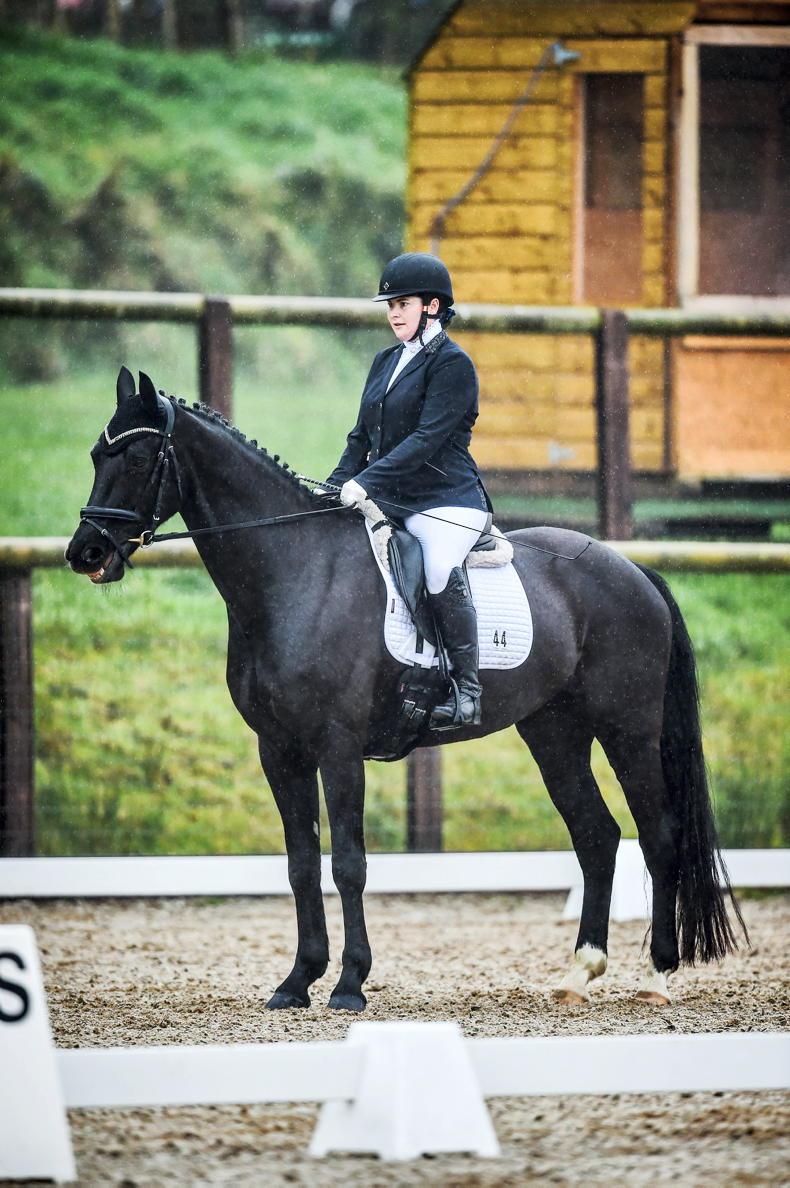 DRESSAGE: Wet day for Childeric league final 22 March 2024 Free