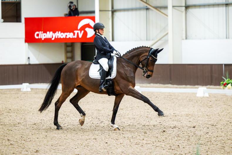 PICTURE DESK: Out and about 22 March 2024 Free