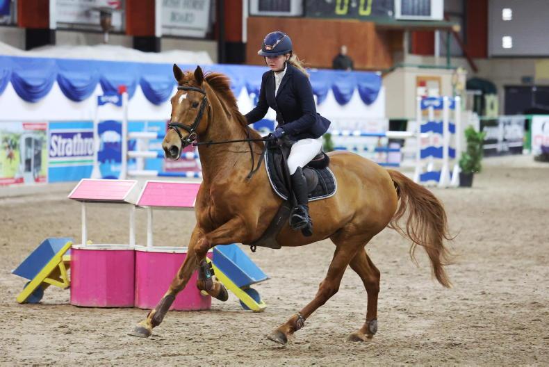 PICTURE DESK: Out and about 22 March 2024 Free