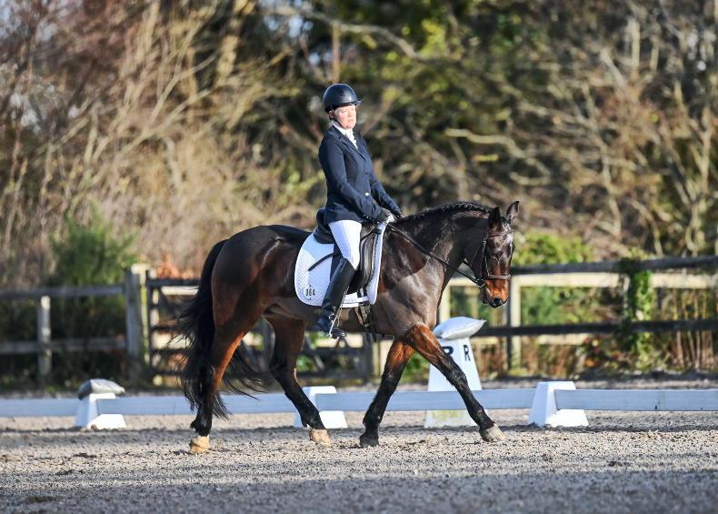 DRESSAGE: High scores at Marlton 17 May 2024 Free