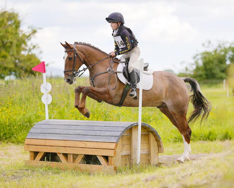 PONY CLUB: Impressive scores secure top spots 21 June 2024 Free