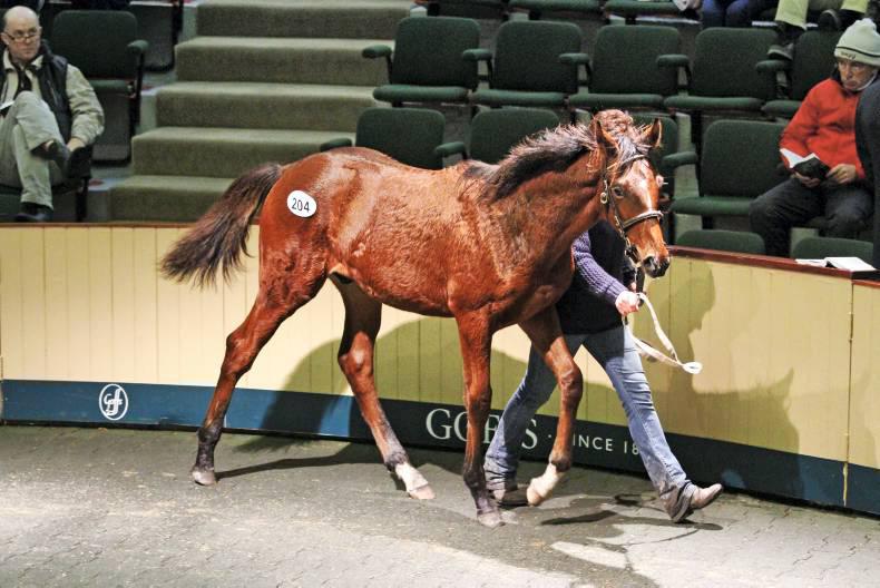 ITM IRISH STALLION TRAIL: Q&A with industry experts 15 January 2016 Free