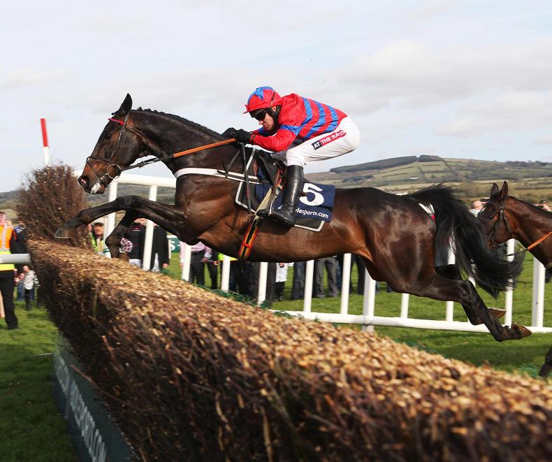 SPRINTER SACRE - Career in pictures 13 November 2016 Free