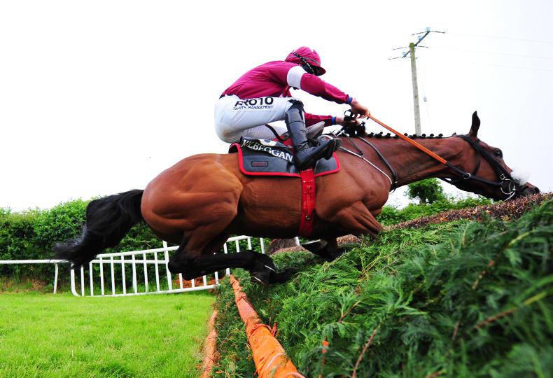 TIGER ROLL - The National hero - career in pictures 14 April 2018 Free