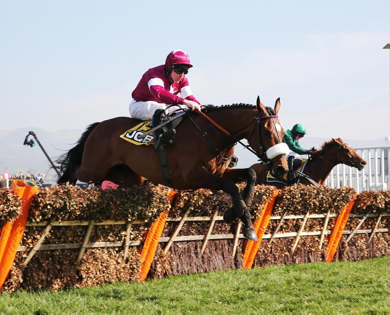 TIGER ROLL - The National hero - career in pictures 14 April 2018 Free